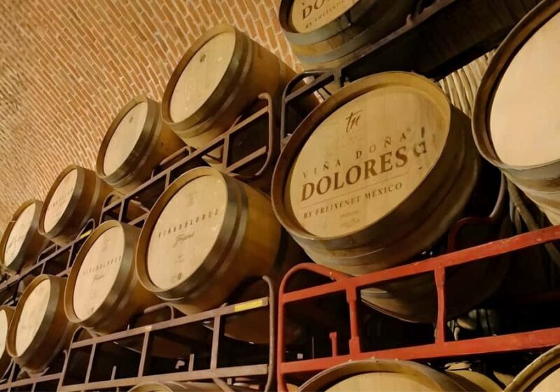 Querétaro: Peña de Bernal y Cavas de Freixenet - Key Points