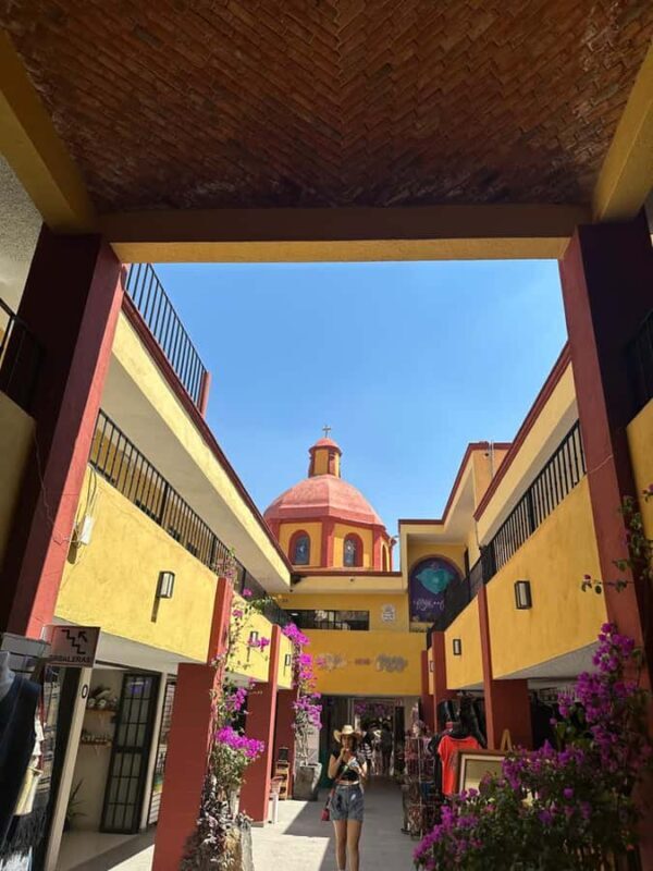 Querétaro: Wine Route & Peña de Bernal | Private Tour - The Wine Experience at Freixenet