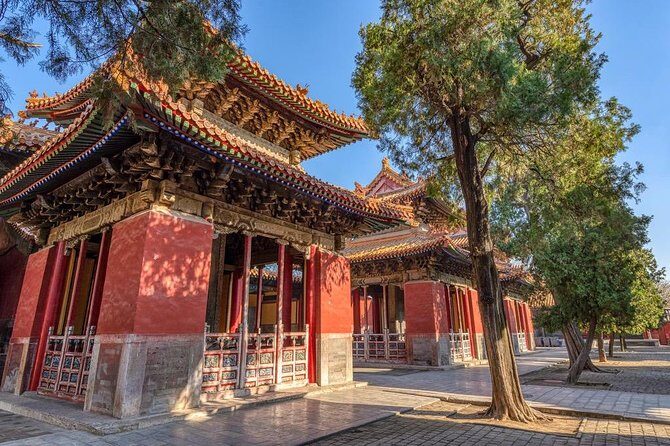 Qufu Private Walking Tour to Confucius Temple, Kong Mansion and Forest - A Closer Look at the Itinerary