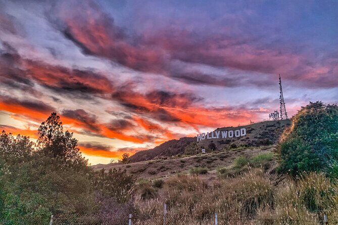 Quick and Easiest Route to the Hollywood Sign Walk (1 Hour) - Who Will Love This Tour?
