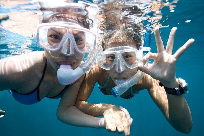 Quick & Easy Snorkel Trip from Kailua Pier - Key Points