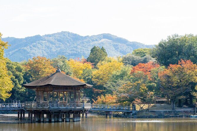 Quick Nara Tour for the First-Timers by Local Tour Guide - FAQs
