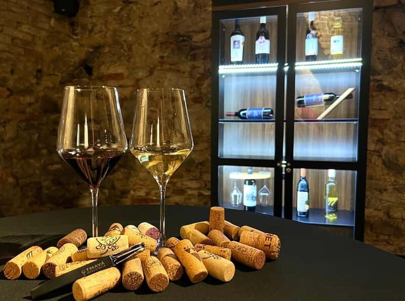 Quick Wine Tasting in Michalská - An In-Depth Look at the Experience