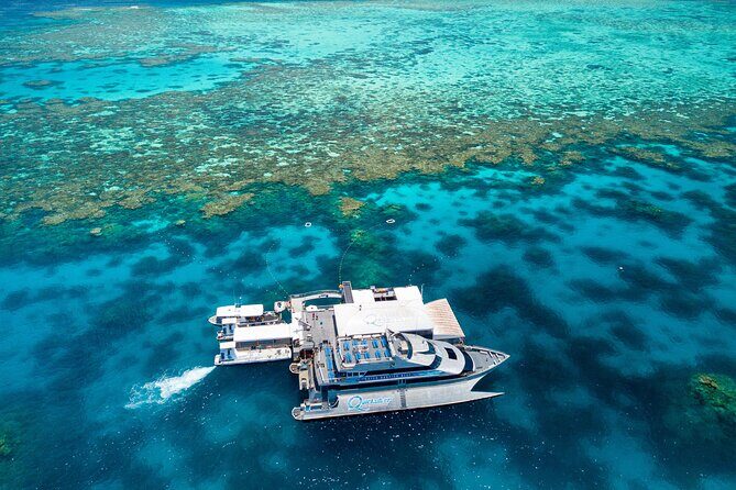 Quicksilver Great Barrier Reef Snorkel Cruise from Port Douglas - Comprehensive Breakdown of the Itinerary