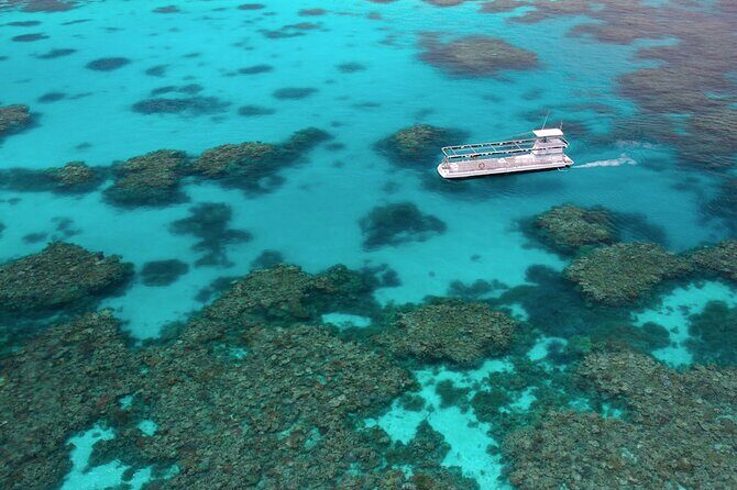 Quicksilver Great Barrier Reef Snorkel Cruise from Port Douglas - Practical Considerations and Tips
