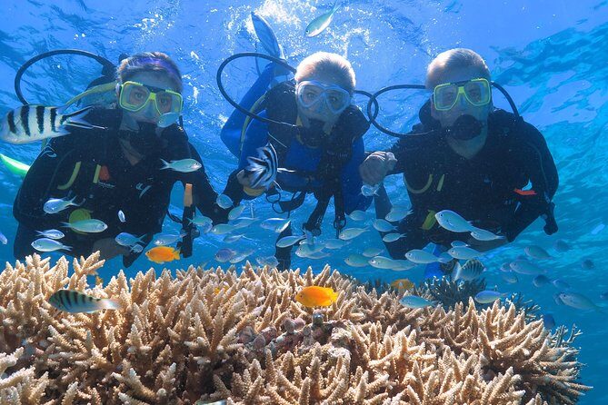 Quicksilver Great Barrier Reef Snorkel Cruise from Port Douglas - Final Thoughts