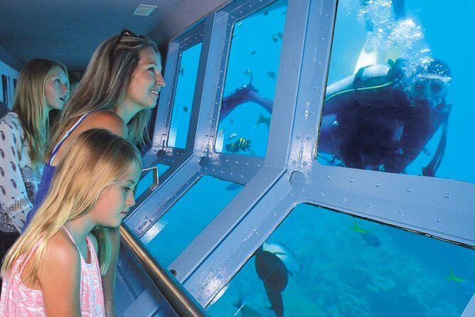 Quicksilver Outer Great Barrier Reef Snorkel Cruise from Palm Cove - Introduction to the Experience