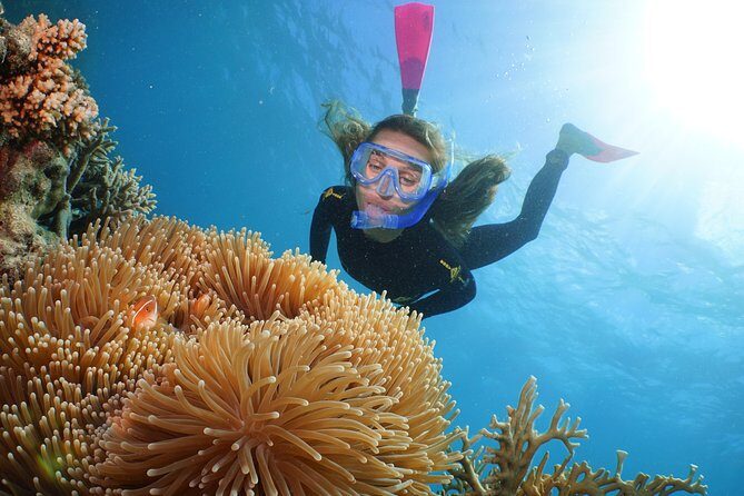 Quicksilver Outer Great Barrier Reef Snorkel Cruise from Palm Cove - Who Should Consider This Tour?