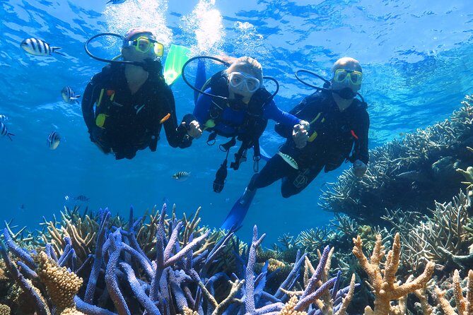 Quicksilver Outer Great Barrier Reef Snorkel Cruise from Palm Cove - The Sum Up