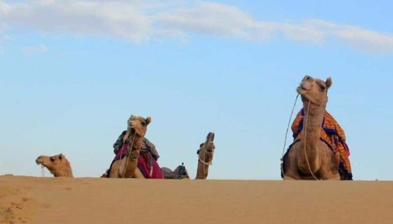 Quiet & Peaceful Desert Experience At Luxury Desert Camp - Final Thoughts