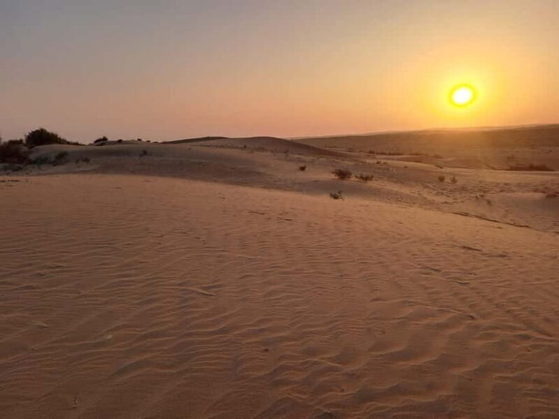 Quiet & Peaceful Night At Luxury Desert Camp - Why Travelers Love This Tour