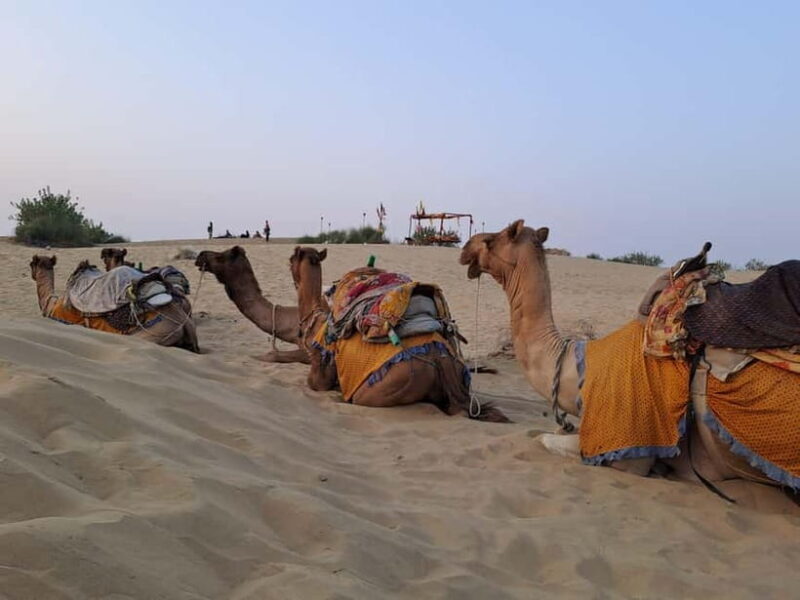 Quiet & Peaceful Night At Luxury Desert Camp - Who Is This Experience Best Suited For?