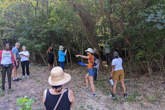 Quindaro Ruins Urban Hike - The Sum Up