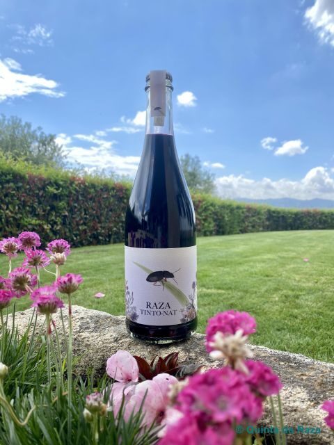 Quinta da Raza Natural Wines - An In-Depth Look at the Quinta da Raza Natural Wines Tour