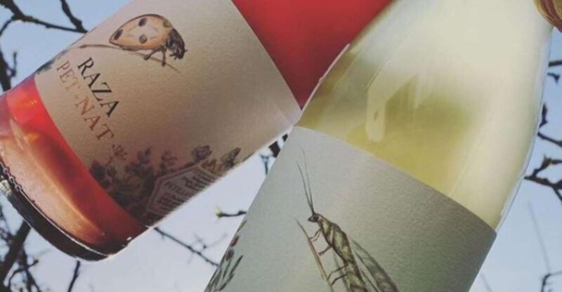 Quinta da Raza Natural Wines - Practical Details and Tips