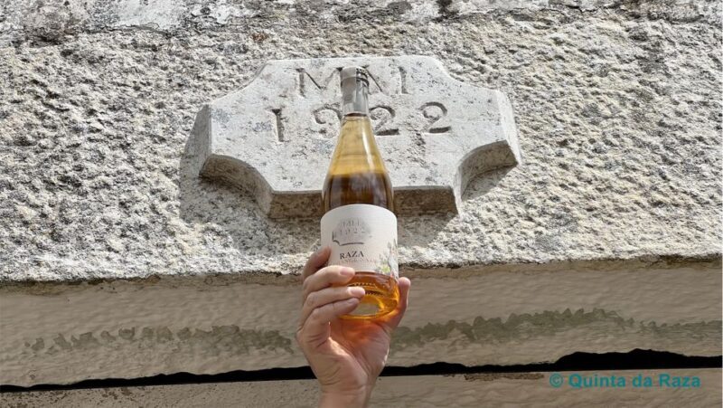 Quinta da Raza Natural Wines - Final Thoughts: Is This Experience Right for You?