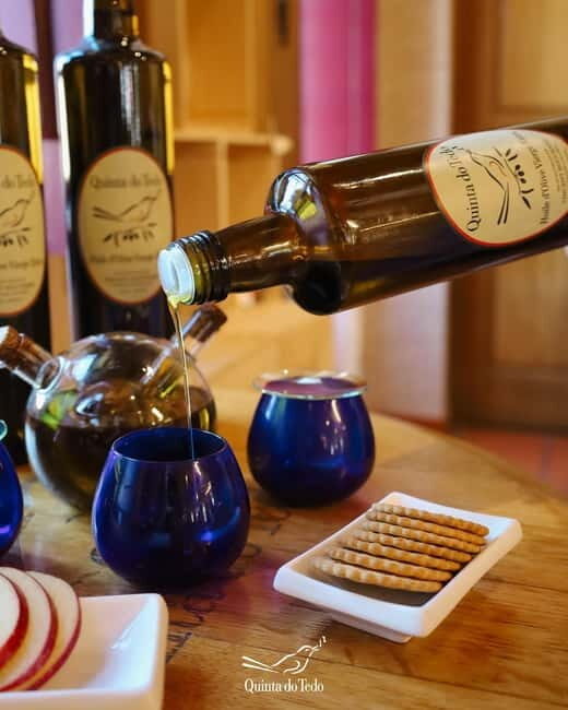 Quinta do Tedo: Olive Oil Tasting - Key Points