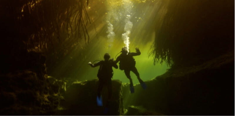 Quintana Roo: Cenote Dive - What Makes This Cenote Tour Special