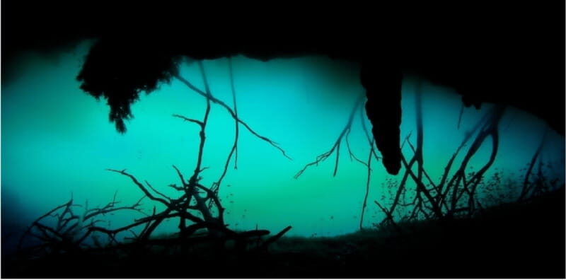 Quintana Roo: Cenote Dive - Diving Experience & Authenticity