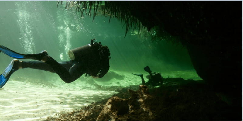 Quintana Roo: Cenote Dive - The Bottom Line: Is It Worth It?