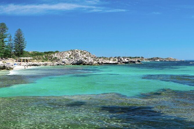 Quokkas Delight Rottnest Island - Ideal Spots for Relaxation and Snorkeling