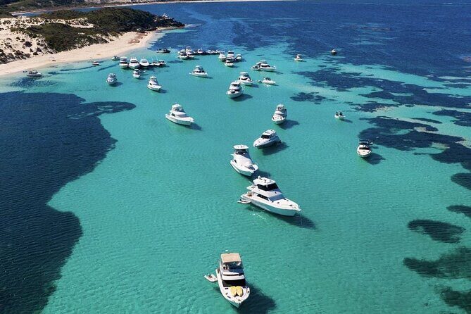 Quokkas Delight Rottnest Island - Iconic Landmarks and Unique Sights