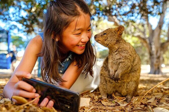 Quokkas Delight Rottnest Island - Is It Worth the Cost?