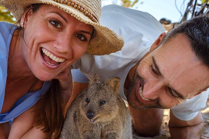 Quokkas Delight Rottnest Island - Overall Impressions from Other Travelers