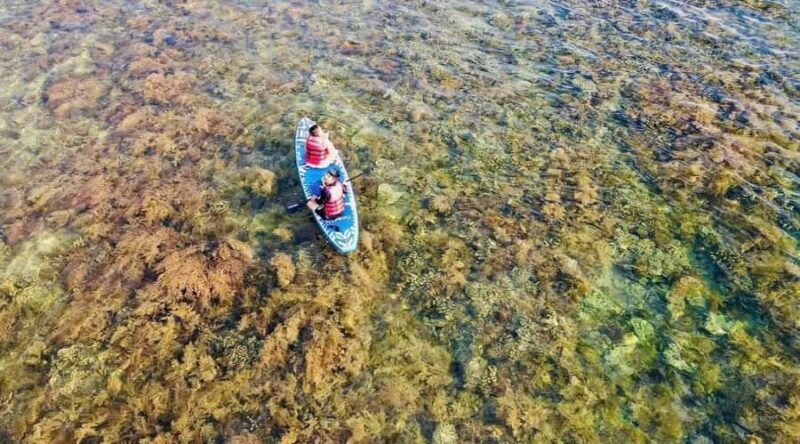 Quy Nhon Ky Co Beach, Eo Gio & Nhon Ly Village Full-Day Tour - Key Points