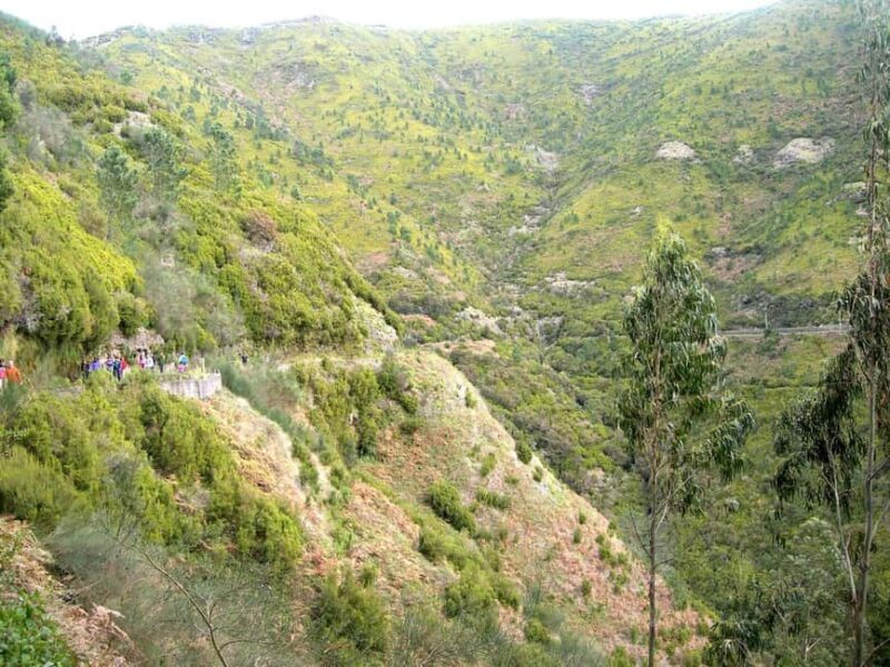 Rabaçal: 25 Fontes & Risco Levada Hiking Transfer - Rabaçal: 25 Fontes & Risco Levada Hiking Transfer — An Authentic Madeira Experience