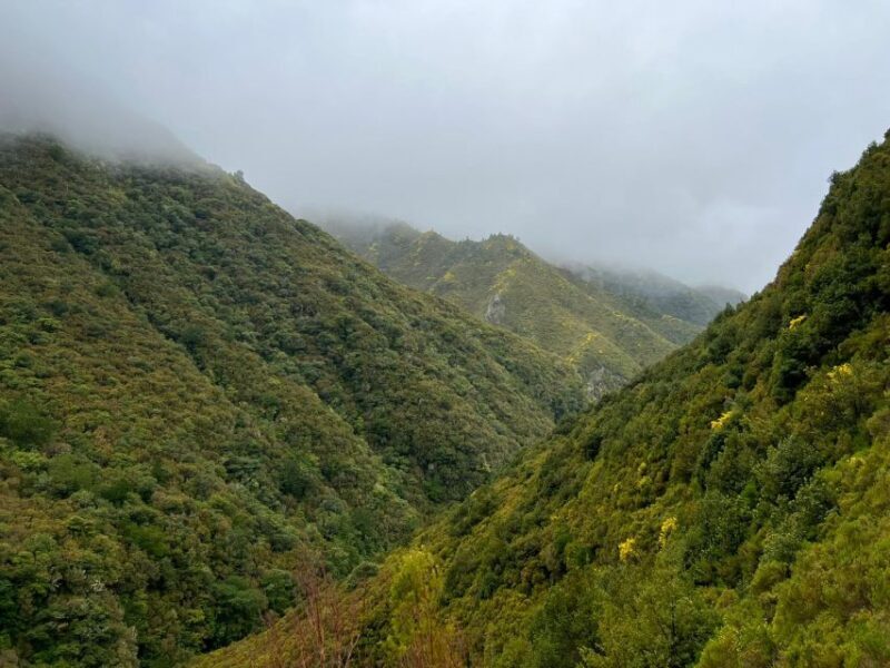 Rabaçal: 25 Fontes & Risco Levada Transfer Self-guided Hike - Introduction: Why This Tour Might Be Your Best Bet