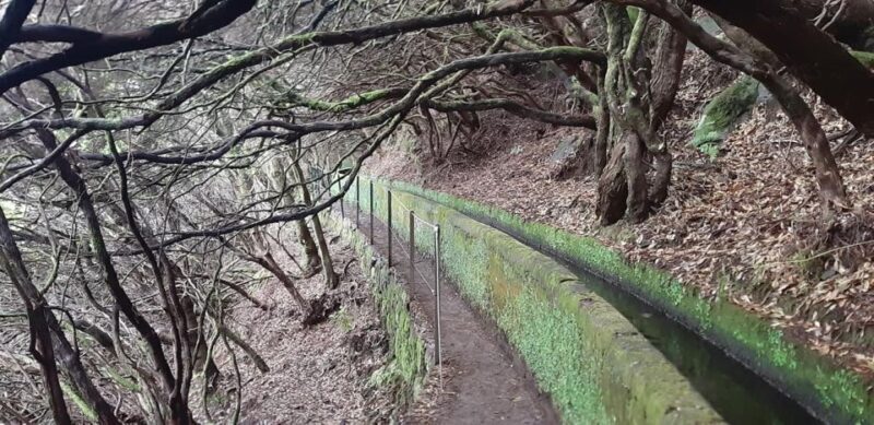 Rabaçal: 25 Fontes & Risco Levada Transfer Self-guided Hike - The Experience of the Trails