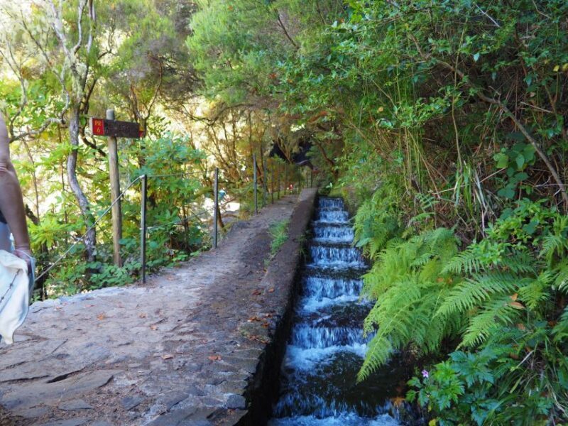 Rabaçal: 25 Fontes & Risco Levada Transfer Self-guided Hike - Transportation: Comfort and Convenience