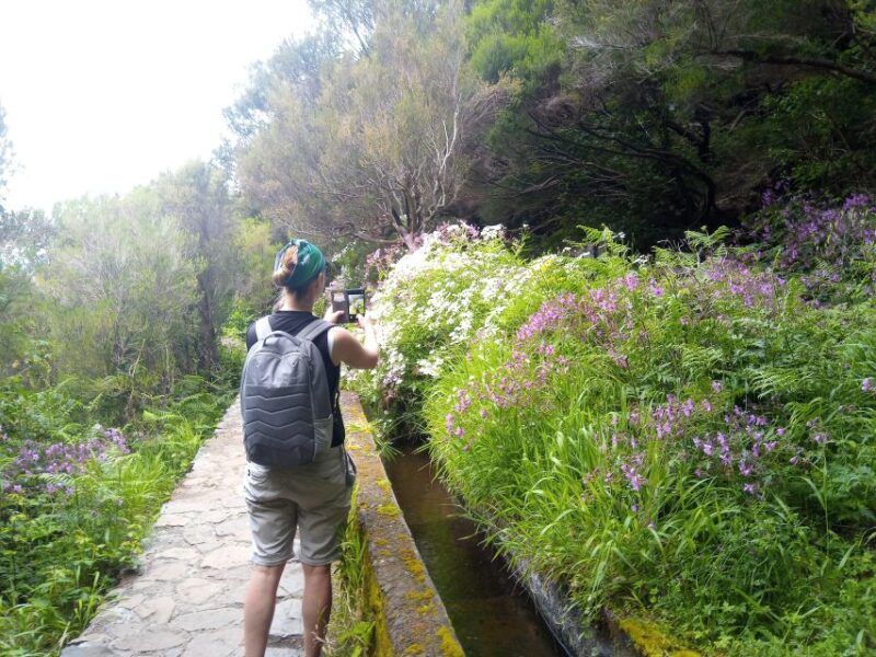 Rabaçal: Lagoa do Vento, Levada Risco and Levada 25 Fontes - An In-Depth Look at the Tour