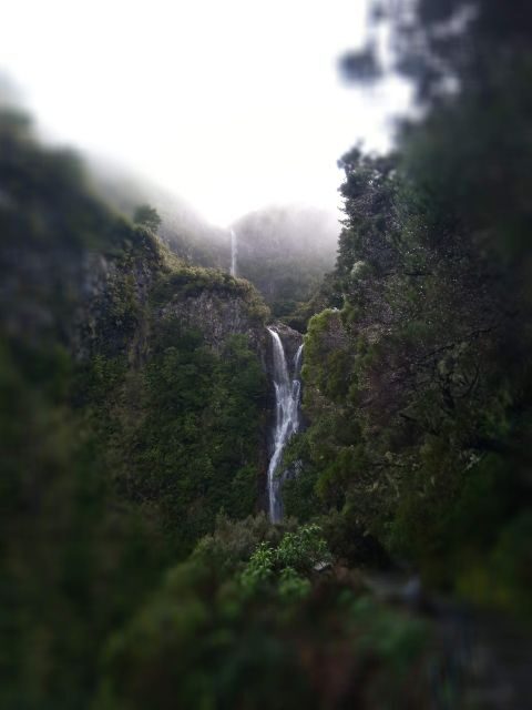 Rabaçal: Lagoa do Vento, Levada Risco and Levada 25 Fontes - Who Should Consider This Tour?