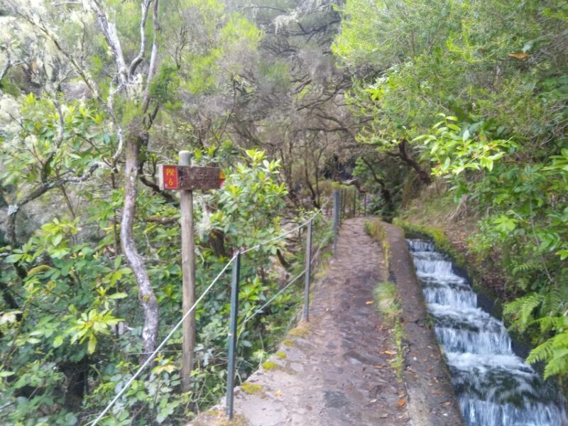Rabaçal: Lagoa do Vento, Levada Risco and Levada 25 Fontes - Final Thoughts