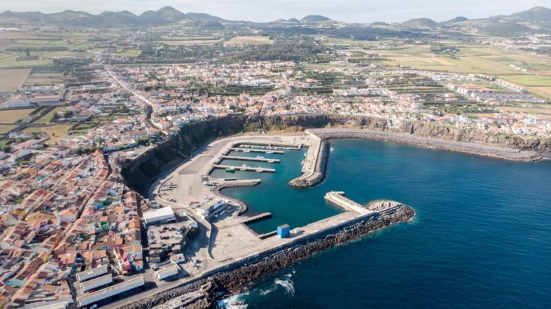 Rabo de Peixe: Sperm Whale Sanctuary Expedition - Key Points