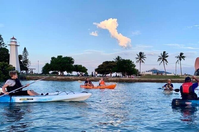 Raby Bay Wildlife Kayak Tour - A Detailed Look at the Raby Bay Wildlife Kayak Tour