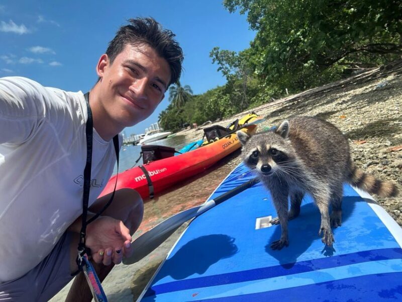 Raccoon Island: Exploration on SUP/Kayak - What Sets This Tour Apart?
