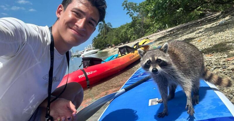 Raccoon Island: Exploration on SUP/Kayak - What the Reviews Say