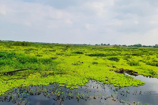 Rach Gia City: U Minh Thuong Forest and Pineapple Village Tour - Practical Considerations