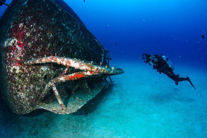 Racha Noi and Racha Yai Dive Trip from Phuket - Key Points