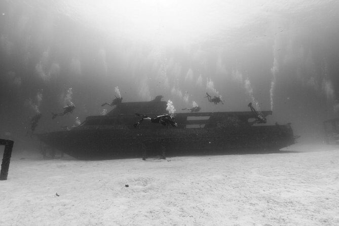 Racha Noi and Racha Yai Dive Trip from Phuket - Final Thoughts: Is It Worth It?
