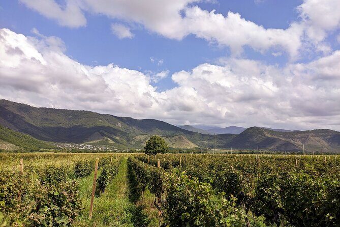RACHA region with TSKHRAJVARI and wine tasting from Kutaisi - Khvanchkara: A Taste of Local Wine