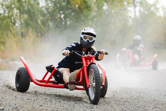 Racing Mountain Cart in Dagali near Geilo, Norway - Value Considerations