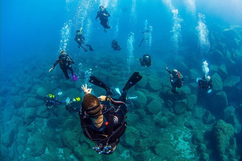 Radazul: Diving Trip in Radazul Bay with Drinks - A Detailed Look at the Radazul Diving Experience