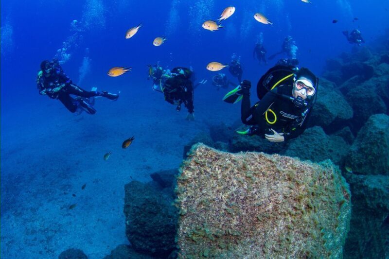 Radazul: Diving Trip in Radazul Bay with Drinks - FAQ