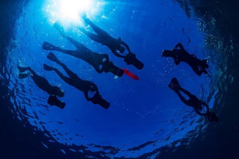 Radazul: Family-Friendly Jet Snorkeling Tour - Practical Tips for Travelers