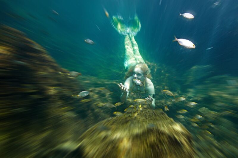 Radazul: Mermaid Experience and Photo Shoot - Key Points