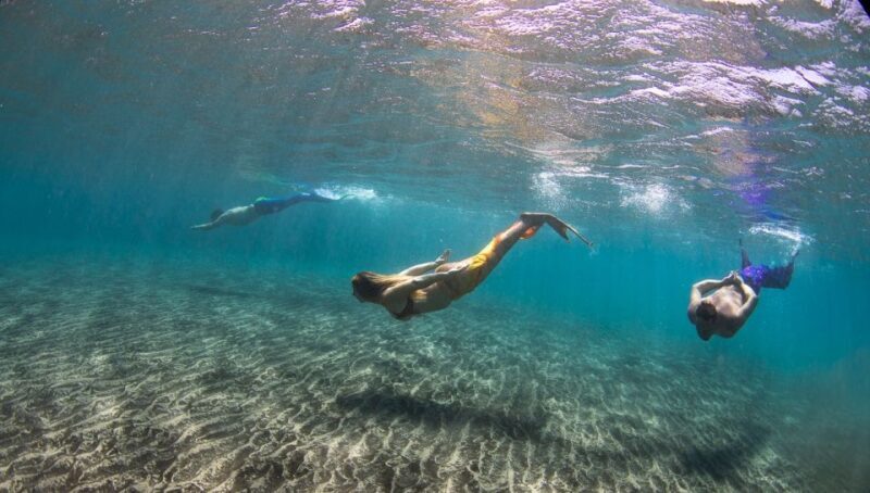 Radazul: Mermaid Experience and Photo Shoot - The Location and Accessibility